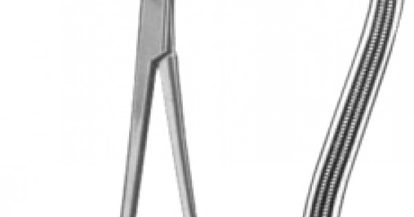 Guyon Kidney Pedicle Clamp Forceps BJ 23cm/9"